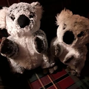 Unipak | Toys | Koala 2 Plush Aussie Lot Unipak Nwt | Poshmark